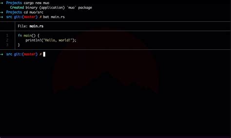 How To Set Up A Rust Development Environment On Linux