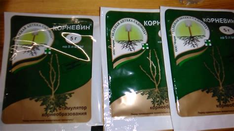 Корневин для рассады инструкция по применению, как разводить