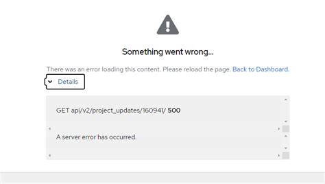 project sync succeeds but job output gives internal server error