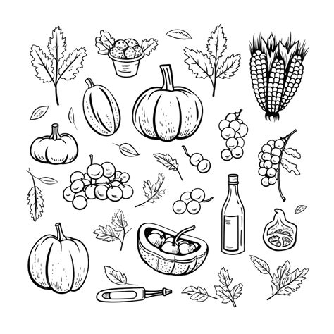 Minimal Line Art Sketch Hand Drawn Organic Thanksgiving Vector Vegetables Drawing Farm Fresh