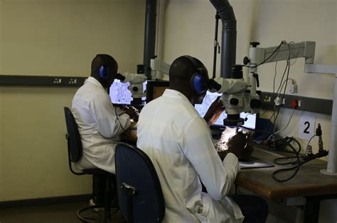 Technology And Fossil Preparation Maropeng Virtual Lab LIVE