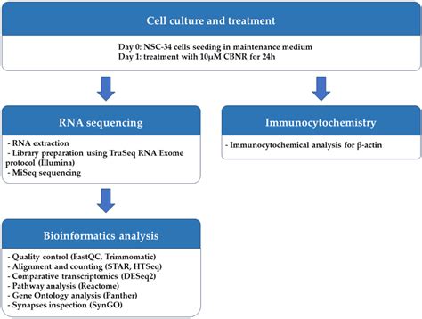 Workflow Of Methods Used Download Scientific Diagram