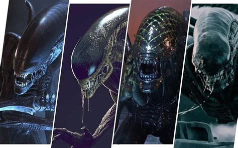 盘点回忆篇之异形，从1979年的《异形1》到2017年《异形：契约》8部异形电影中的异形变迁之路 哔哩哔哩 Bilibili