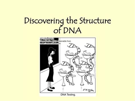 PPT Discovering The Structure Of DNA PowerPoint Presentation Free Download ID 9460278