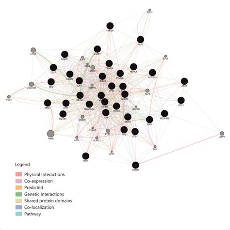 The Correlation Network Between The Transciption Factors That Regulate