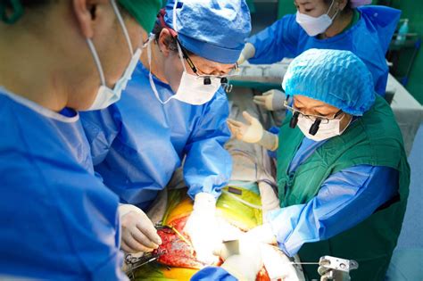 Улсын нэгдүгээр төв эмнэлэгт элэг шилжүүлэн суулгах 200 дахь мэс заслыг амжилттай хийжээ