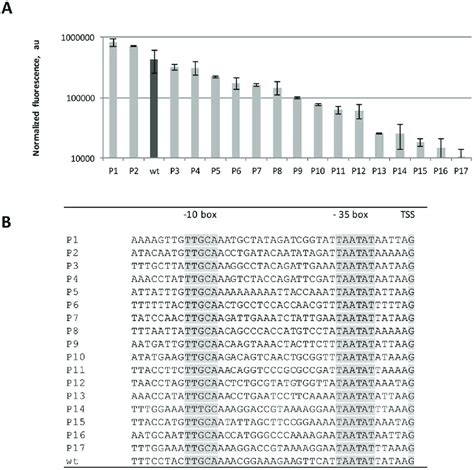 Library Of Semi Synthetic Promoters A Expression Levels Of Sfgfp As