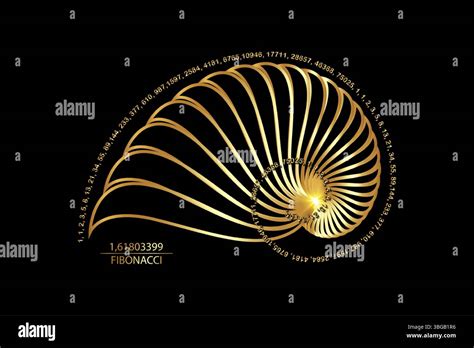 Fibonacci Sequence Golden Ratio Geometric Shapes Spiral Snail Spiral Sea Shell Of Gold
