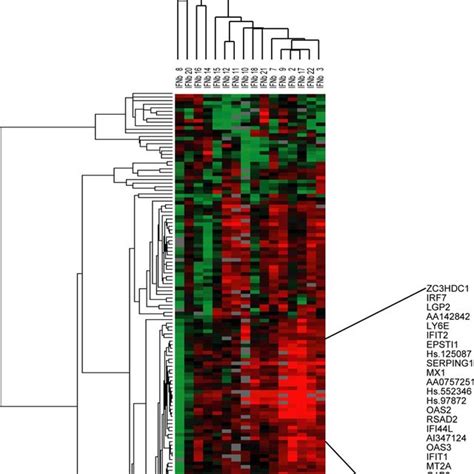 Two Way Hierarchical Cluster Analyses Using Gene Expression Ratio S