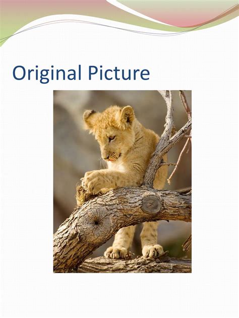 Ppt Programing In Jes Jython Powerpoint Presentation Free