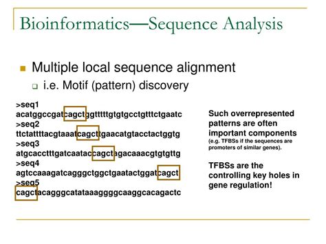 Ppt Bioinformatics Basics Powerpoint Presentation Free Download Id