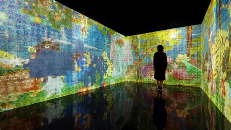 nirvana fleeting flower shimmering light teamlab
