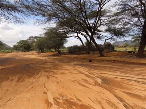 Gallery Samburu Riverside Camp And Safari