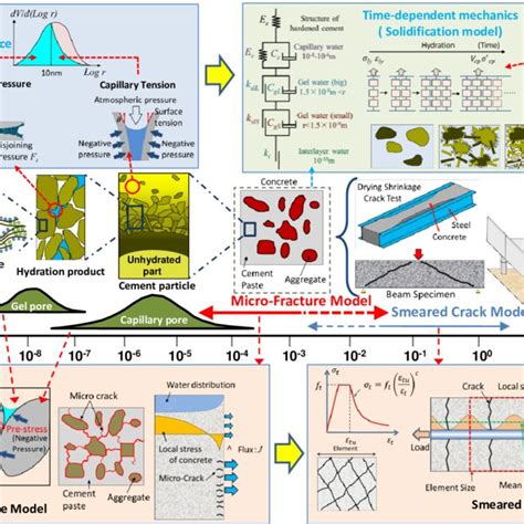 pdf multi scale and multi chemo physical modeling of cementitious