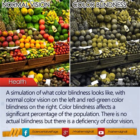 What Do Colorblind People See Simulation