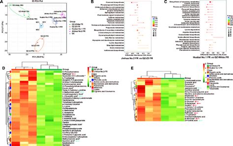 Metabolomic Analysis Of Fruit Ripening Between Wild And Cultivated Download Scientific Diagram