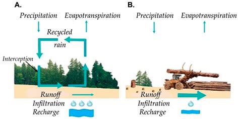 Rain Erosion Diagram