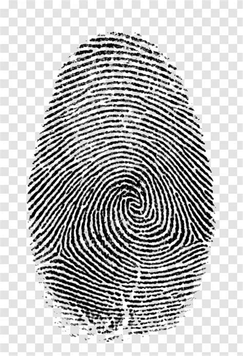Fingerprint Forensic Science Live Scan Hand Criminal Transparent Png