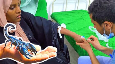 ጊንጥ ነከሰኝ ዱአ አርጉልኝ በተኛውበት ወገቤን ነከሰቺኝ ሲያቃጥል YouTube