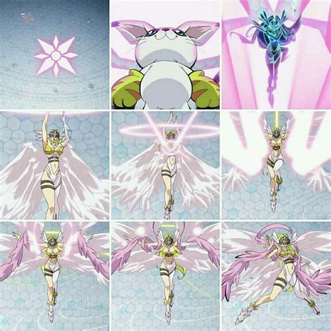 Tailmon Digivolve Para Angewomon Adventure Tri Anime Naruto Anime Manga Gatomon Digimon