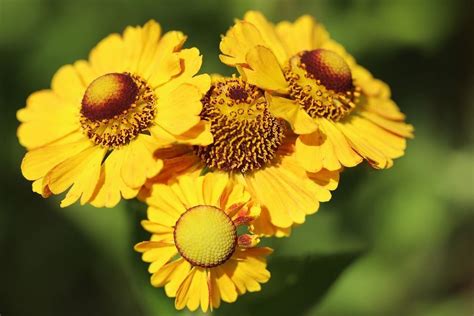 Angelica Lo Duca On Linkedin Datascience Machinelearning Ai Bigdata Artificialintelligence…