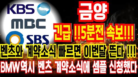 금양 주가전망 와 진짜 이렇게 유럽을 점령합니다 Youtube