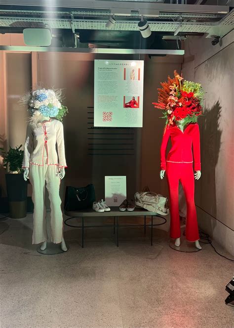 Mina Dilber Posted On Linkedin