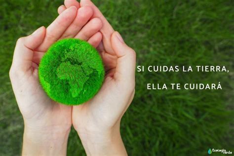 Unicellular And Multicellular Organisms Examples And Differences