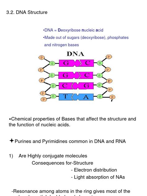 Chapter 32 Mb Dna Stru Pdf Dna Nucleic Acid Double Helix