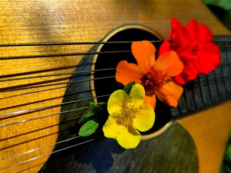 Мандолина Пикабу