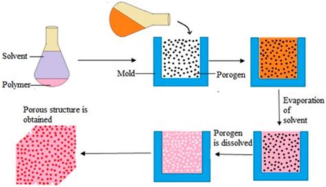 Overview Of The Solvent Casting And Particulate Leaching Process 161