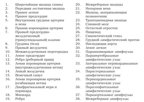 Особенности лучевой диагностики от Александра Шаховского Эталоны КТ срезов для анализа органов
