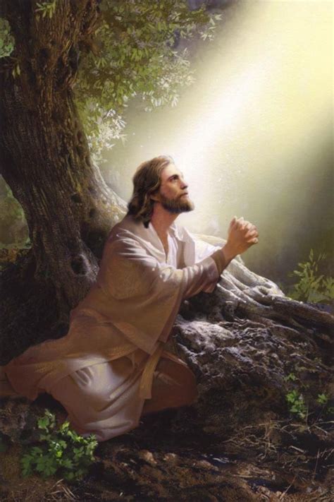 Advocate Art London Seville New York Jesus Praying In The