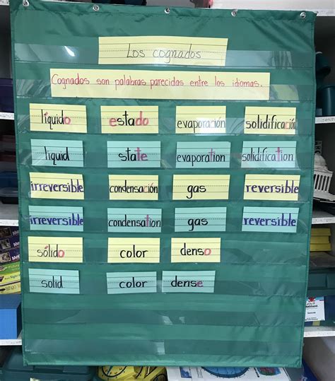 Using Cognates To Support Ells A Bridge To English Smart Eld