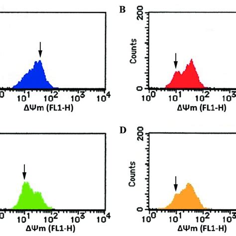 Caffeic Acid Reduced ΔΨm Of Mg 63 Cells Mg63 Cells Were Starved For 12
