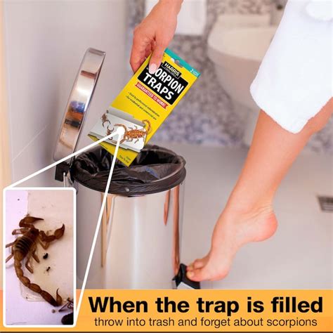 Shop Harris Ready To Use Scorpion Killer Set At