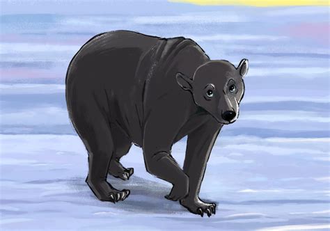 Why Polar Bears Have Black Skin 5 Minute Crafts