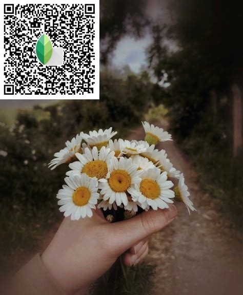 discover 38 snapseed qr code ideas on this pinterest board snapseed