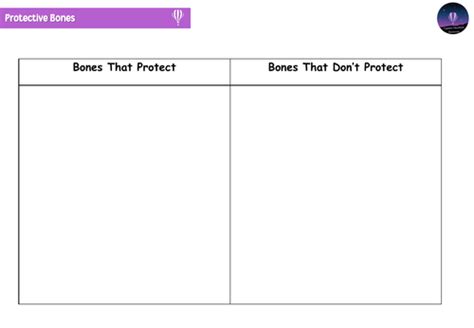 Purpose Of The Human Skeleton Outstanding Ks2 Science Lesson Teaching Resources