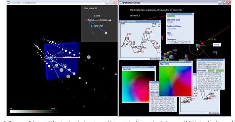 Figure 1 From Interactive Visual Analysis Of Time Series Microarray