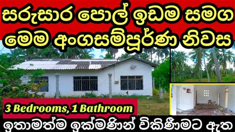 සරුසාර පොල් ඉඩම සමග නිවස Pol Idam Coconut Land House For Sale Land For Sale Aduwata