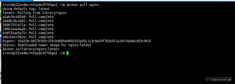 Docker Nginx容器内重启 Docker 启动nginxblueice的技术博客51cto博客