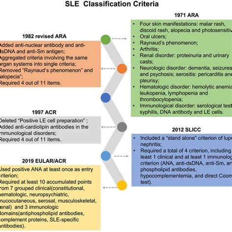 Classification Systems And Evaluation Instruments Of Sle Sle Is A Download Scientific Diagram