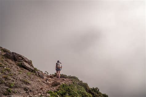 하이킹건강 한 활동적인 라이프 스타일을 살고 하는 배낭 여행에 등산객 여자 도보 여행자 여 자가 산에 하이킹에 산책 가방에 대한 스톡 사진 및 기타 이미지 Istock