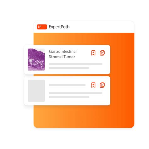 Diagnostic Decision Support For Pathology Expertpath Elsevier