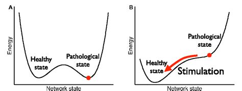 Figure 1 From Stdp In Oscillatory Recurrent Networks Theoretical Conditions For