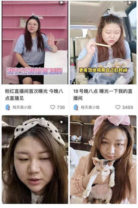 杨天真转行卖大码女装，昔日“金牌经纪人”能笑傲时尚圈吗