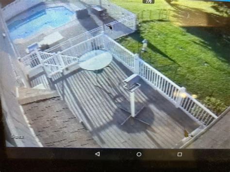 Smh Lazy Devs Reusing The Table Shadow Asset Rconfusingperspective