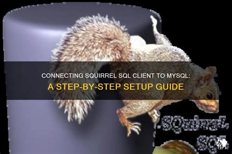 Connecting Squirrel Sql Client To Mysql A Step By Step Setup Guide
