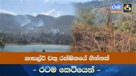 කාසල්රි වතු රක්ෂිතයේ ගින්නක් රටම කෙටියෙන් Youtube
